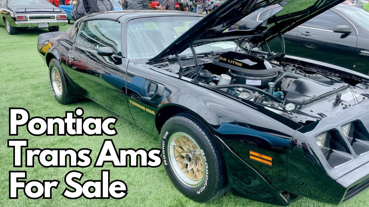 Classic Pontiac Firebirds and Trans Ams For Sale in North Carolina ...