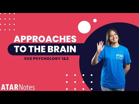 VCE Psychology 1&2 - Approaches to The Brain - YouTube