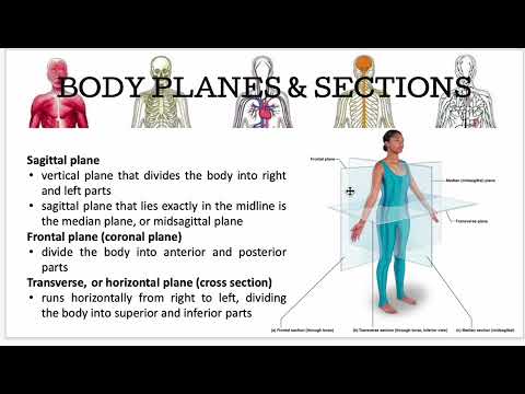 Language of anatomy - Thesa Tagalog - YouTube
