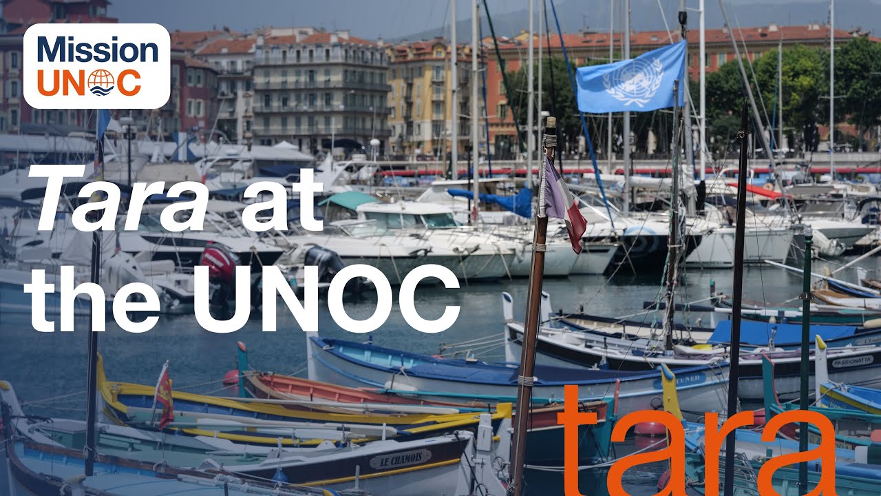 Tara in Nice: United Nations Ocean Conferences - Episode 5 / UNOC ...