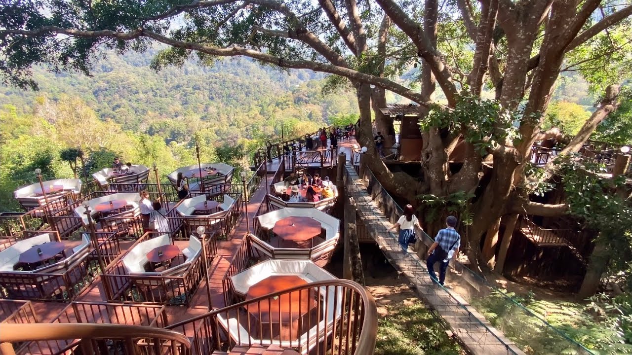 26. Chiang Mai! Temple, tree restaurant, hidden old village, hot spring ...
