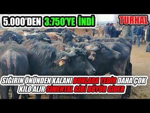 YENİ KAPANAN PAZARIN KAPANMADAN ÖNCEKİ SON FİYATLARI NASILDI ??