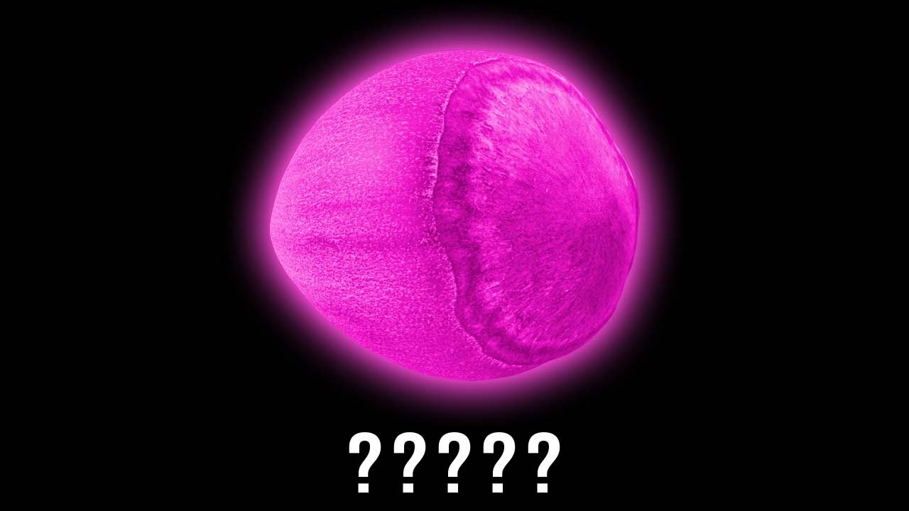 20 NUT Sound Variations in 25 Seconds | MODIFY EVERYTHING - YouTube