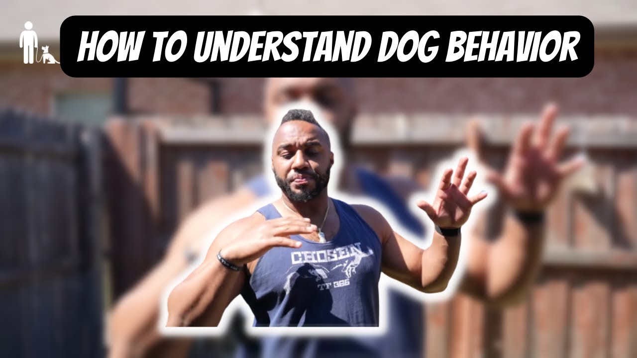 Understanding Dog Behavior - YouTube