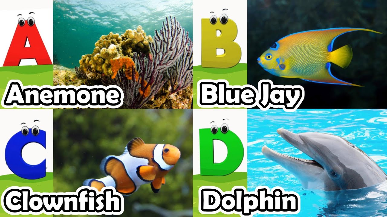 ABC phonics animals | ABC Sea Animals song | English and Animals for ...