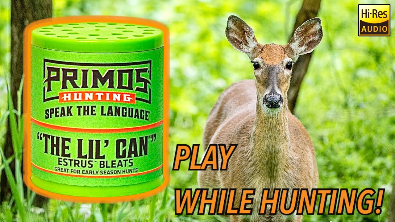 Sound Only: Primo’s “The Lil’ Can” (Play While Hunting) - YouTube
