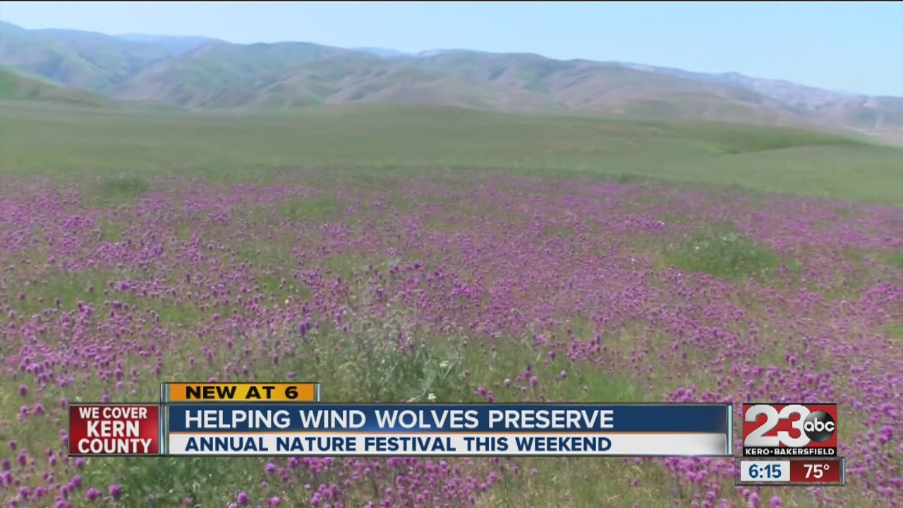 Helping Wind Wolves Preserve - YouTube