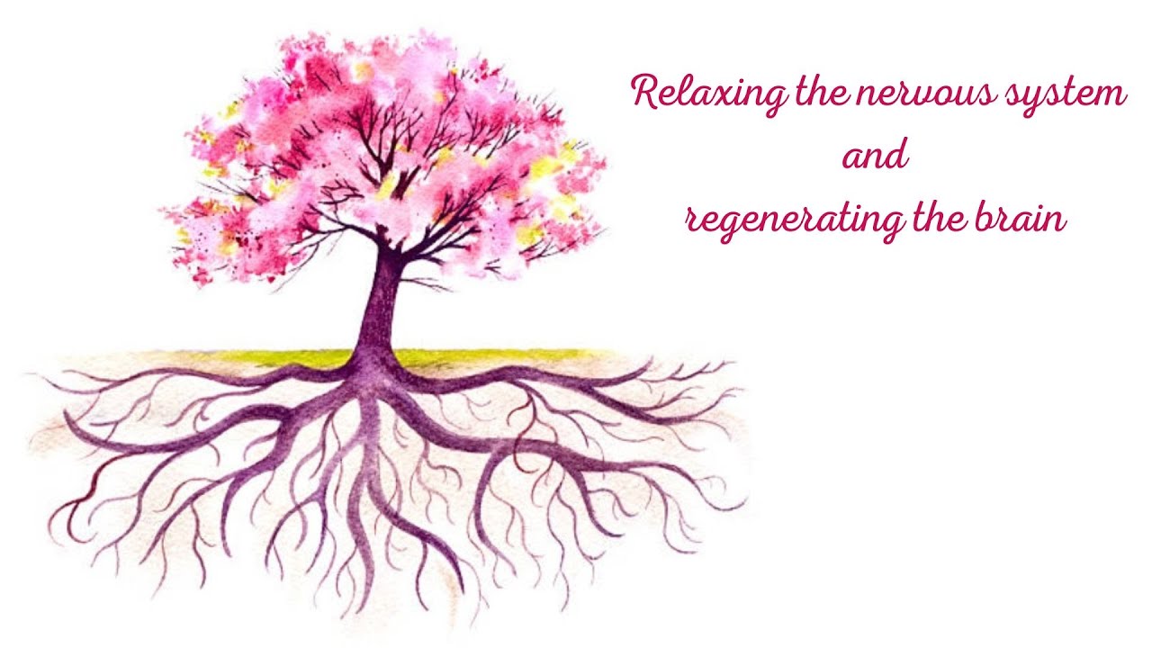Guided meditation - Relaxing the nervous system and regenerating the ...