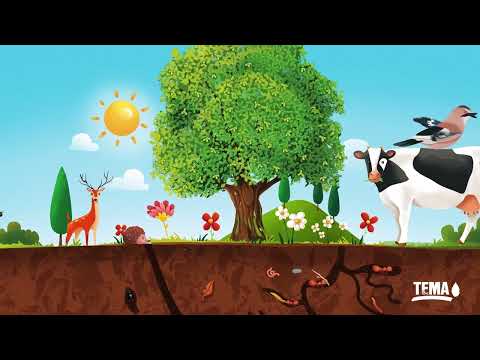 Toprak Dersem Çık - Minik TEMA