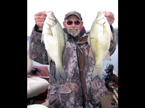 Vertical Jigging for White Bass - YouTube