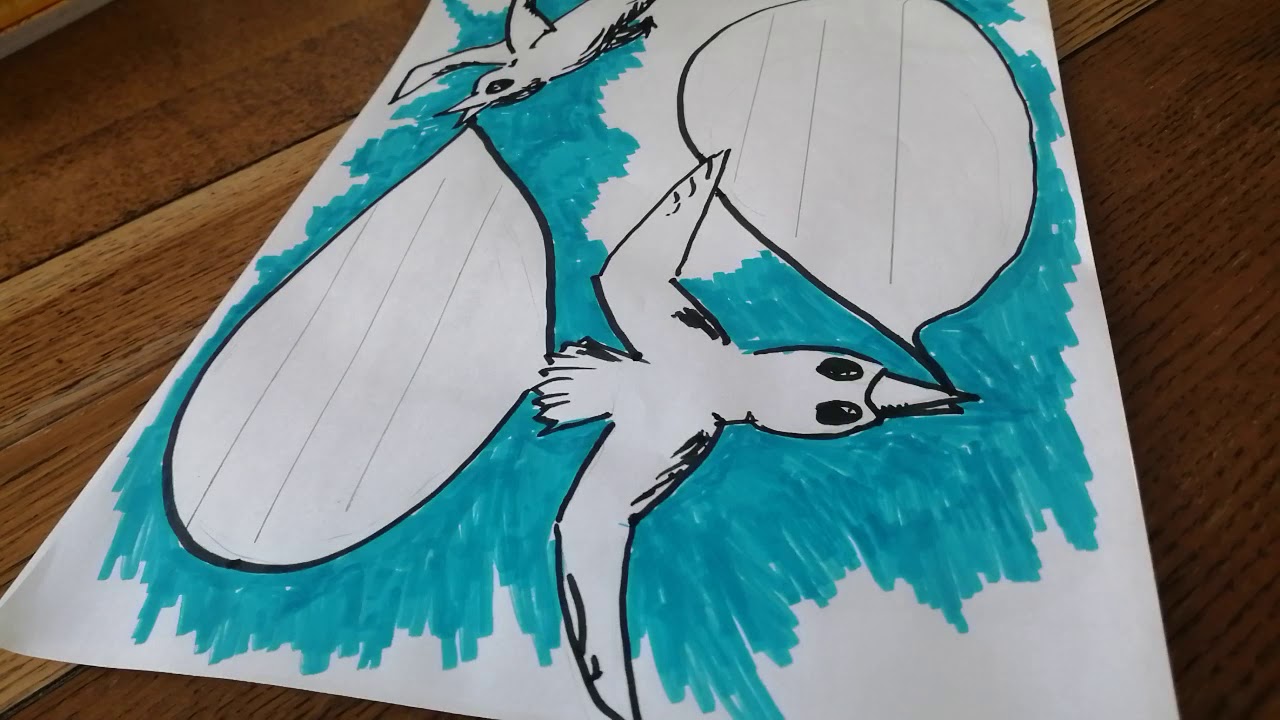 Complete the speech bubbles for the seagulls... - YouTube