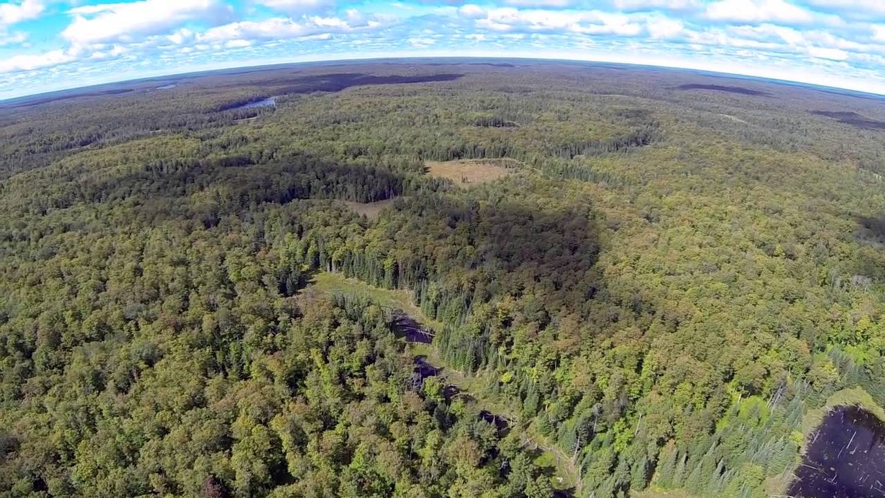 100 Acres For Sale Adjacent to 500 acres crown land $89K - YouTube
