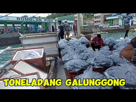 PAG RE ICE AT PAGDISKARGA NAG TONELADANG GALUNGGONG ROMBLON FISH PORT #pangulong #fishing - YouTube