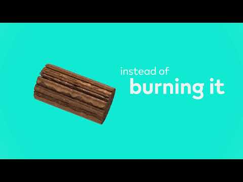Introducing TEREA sticks for the IQOS ILUMA
