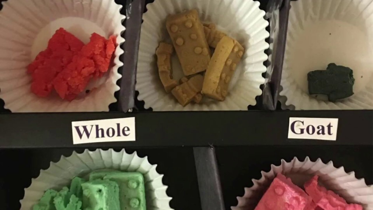 DIY Bioplastic Legos - YouTube