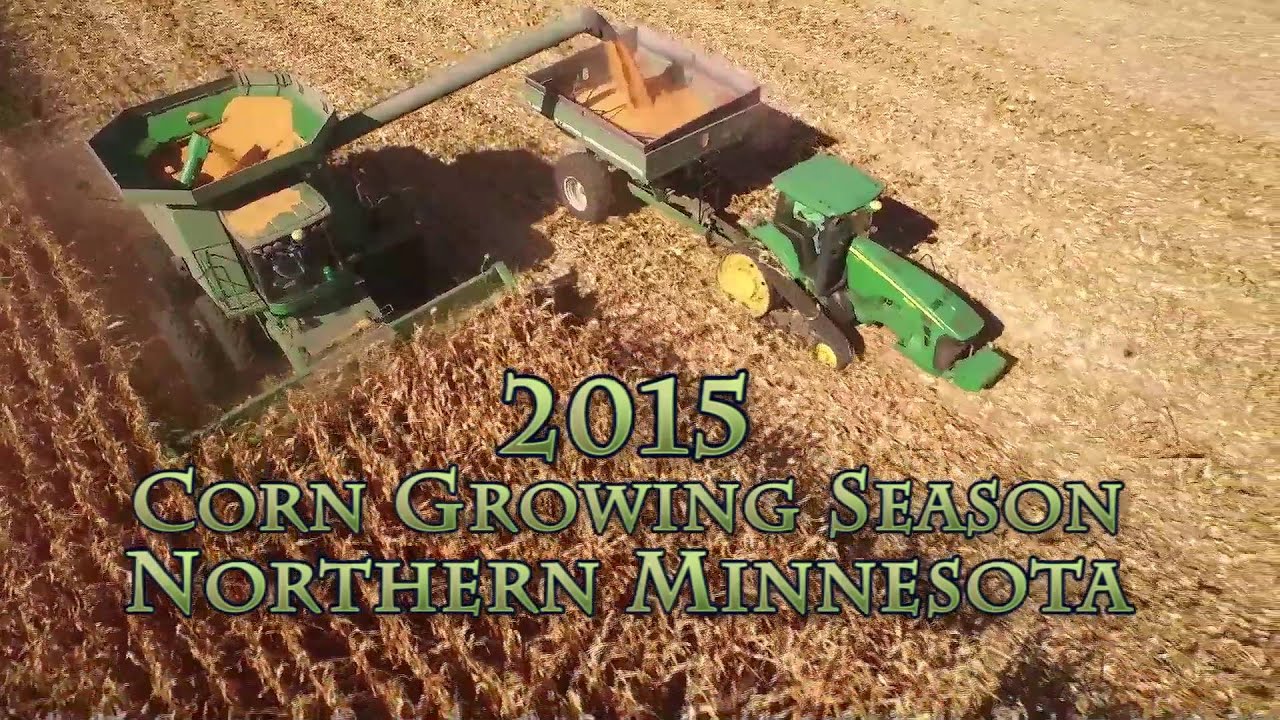 Northern Minnesota Corn Growing 2015 Season Highlights - YouTube