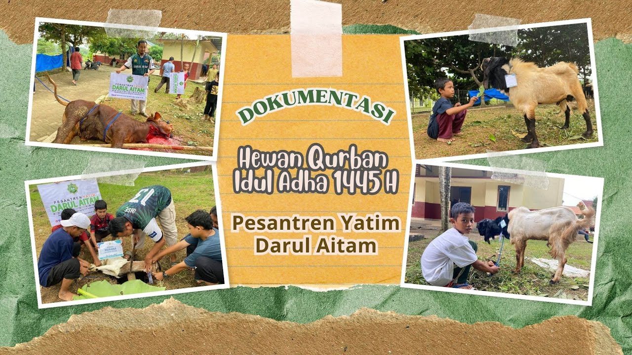 Peyembelihan Qurban 1445 H, Pesantren Yatim Darul Aitam - YouTube