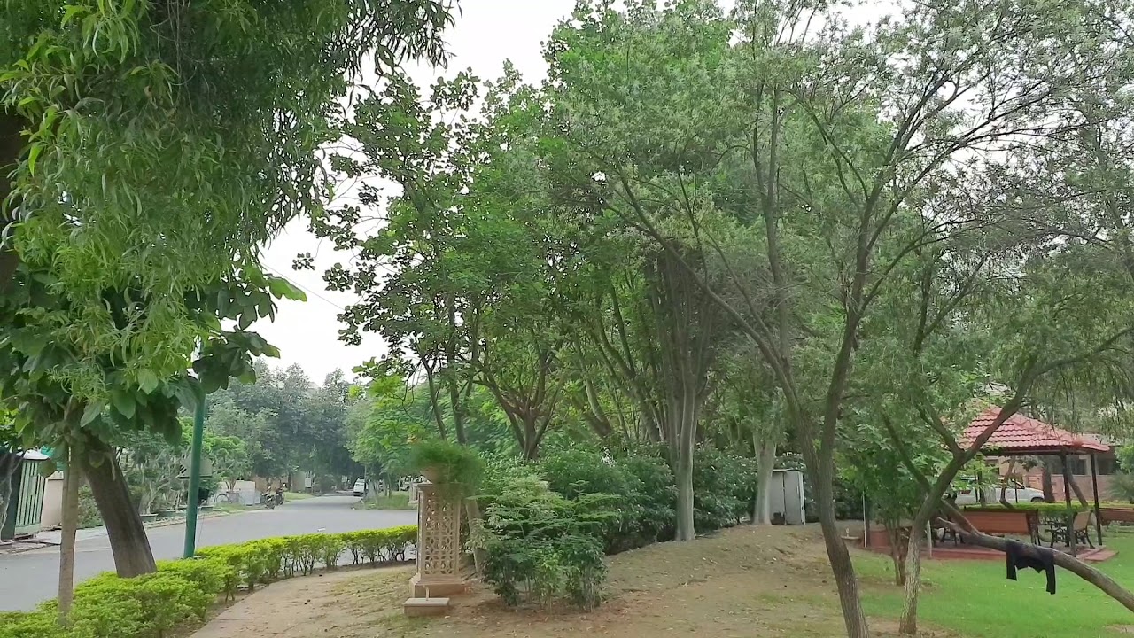 Gurgaon beautiful residential colony - YouTube
