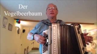 Vogelbeerbaum Chords - ChordU