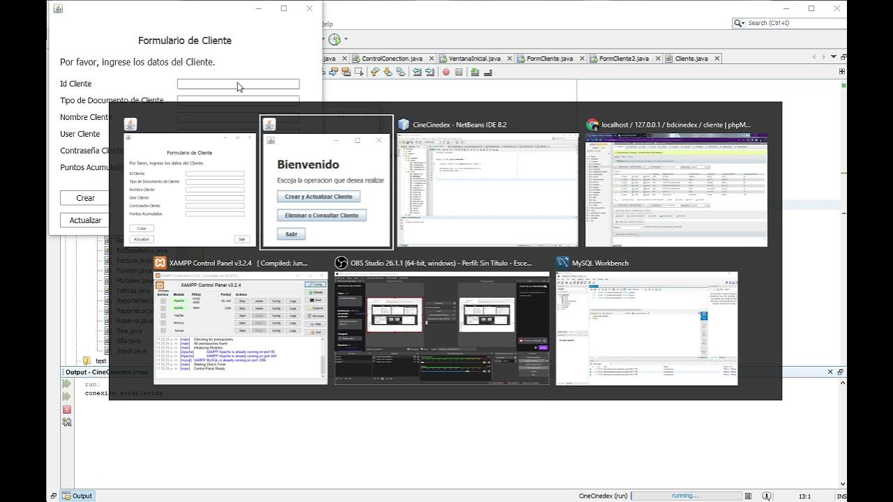 Demo Proyecto CRUD Base de datos Java MySQL - YouTube
