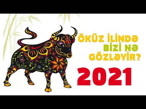 Öküz İlində Bürcləri nə Gözləyir? Öküz ili 2021