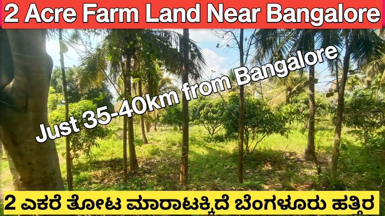 2 Acres Farm Land For Sale Near Bangalore-Hassan Highway |40km from ...