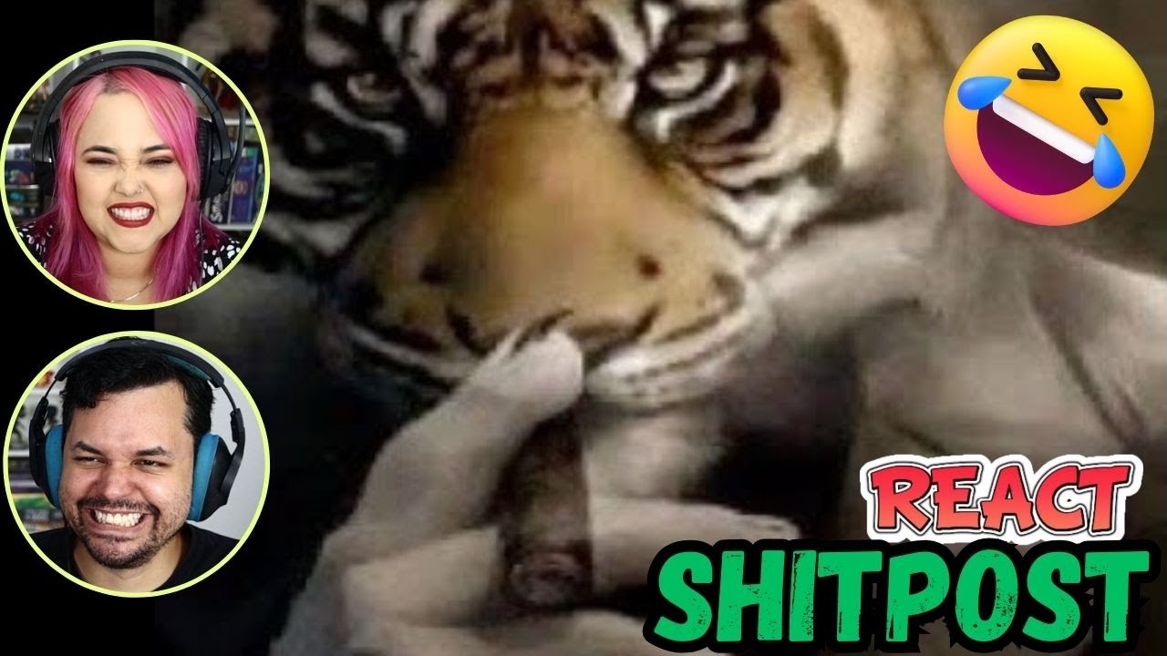 QUEEEE SUSTO!!! oi bebê. | COMPILADO DE SHITPOST #10 ‹ REACT › - YouTube