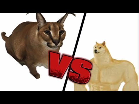 Ultimate Showdown: Floppa vs Doge Wrestling Match - YouTube