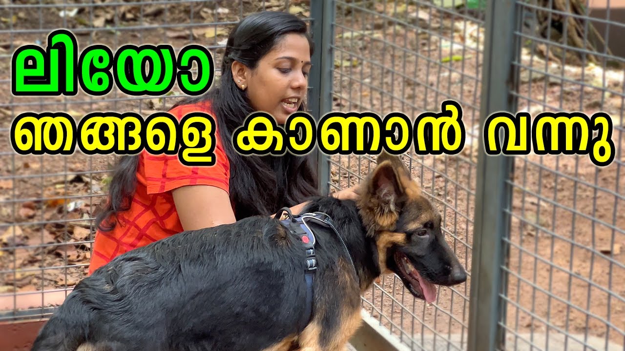 ലിയോ ഞങ്ങളെ കാണാൻ വന്നു : interview with LEO family : Dileep kumar : chottuz vlog - YouTube