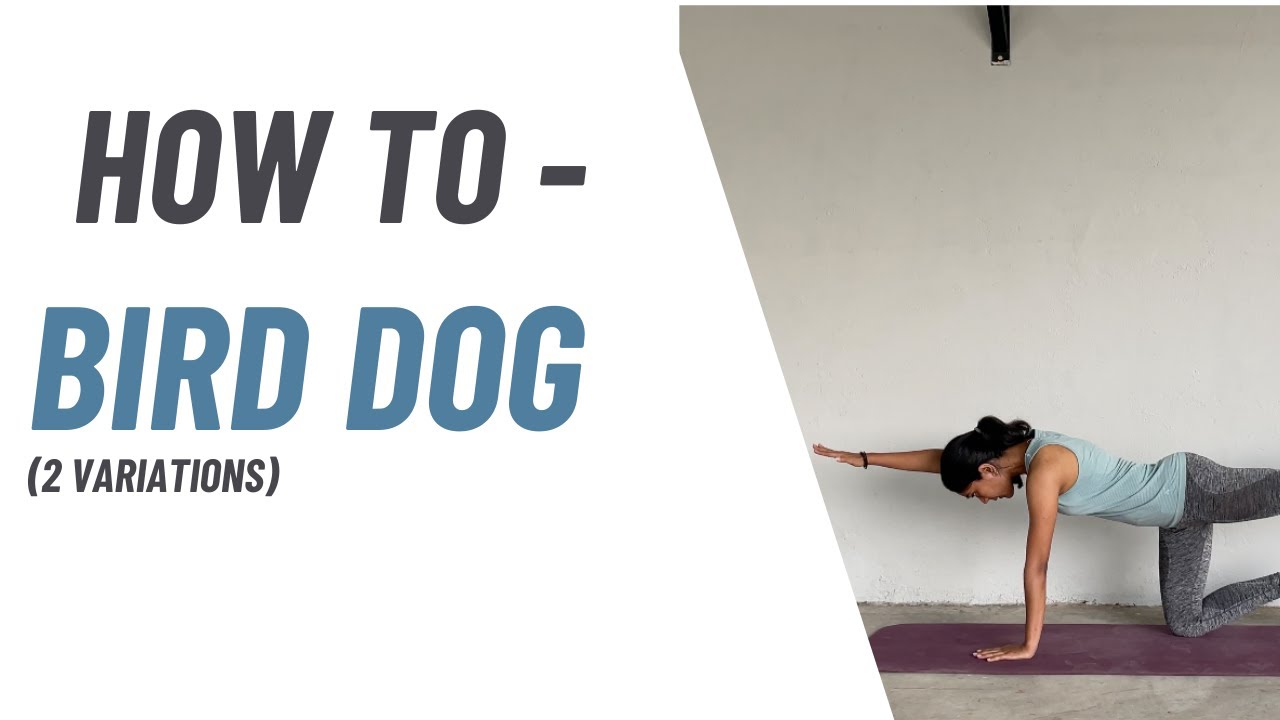 HOW TO - Bird dog // Full body exercise - YouTube