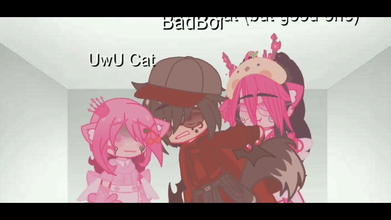 The good UwU cat protect the original UwU cat - YouTube