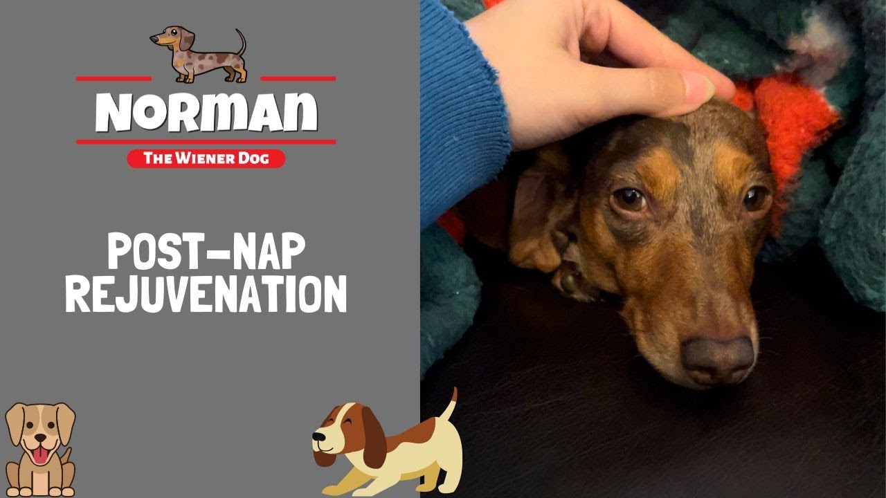 Post-Nap Rejuvenation 🥱🧘 - YouTube