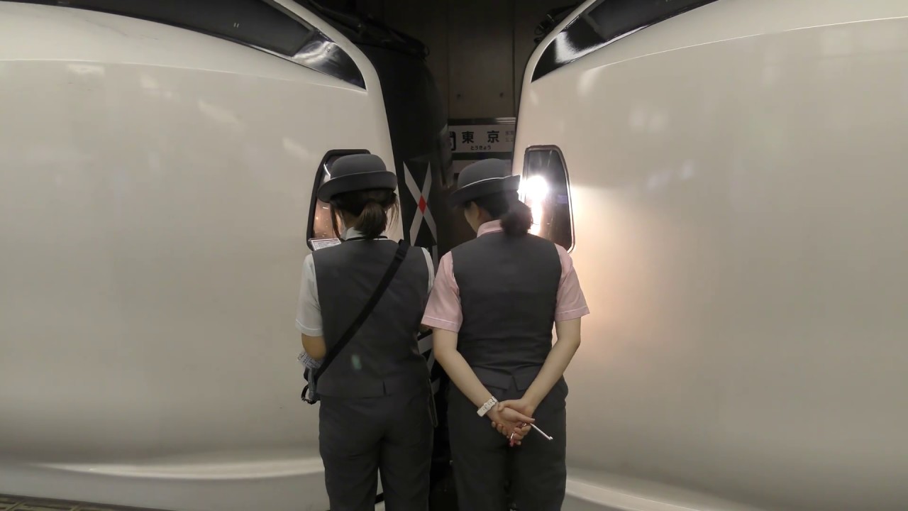 【4K】2018年6月27日。E259系連結して12両へ - YouTube