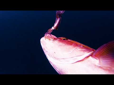 Savage Gear 3D Swim Squid