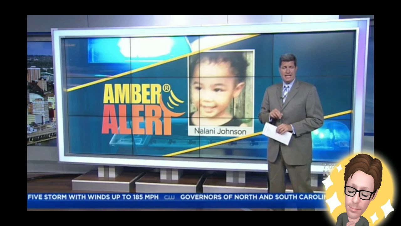 Sharena Islam Nancy charged with kidnapping - Nalani Johnson abduction ...