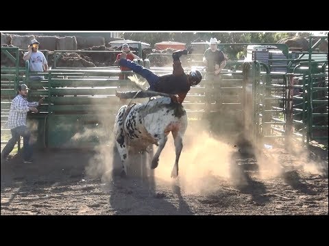 Bull Bucking Practice 6/26/2019 - YouTube