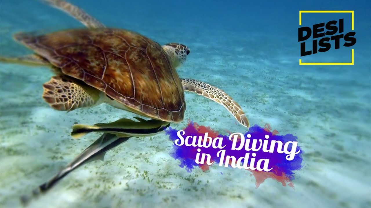 Scuba Diving in India - Top 5 Destinations - YouTube