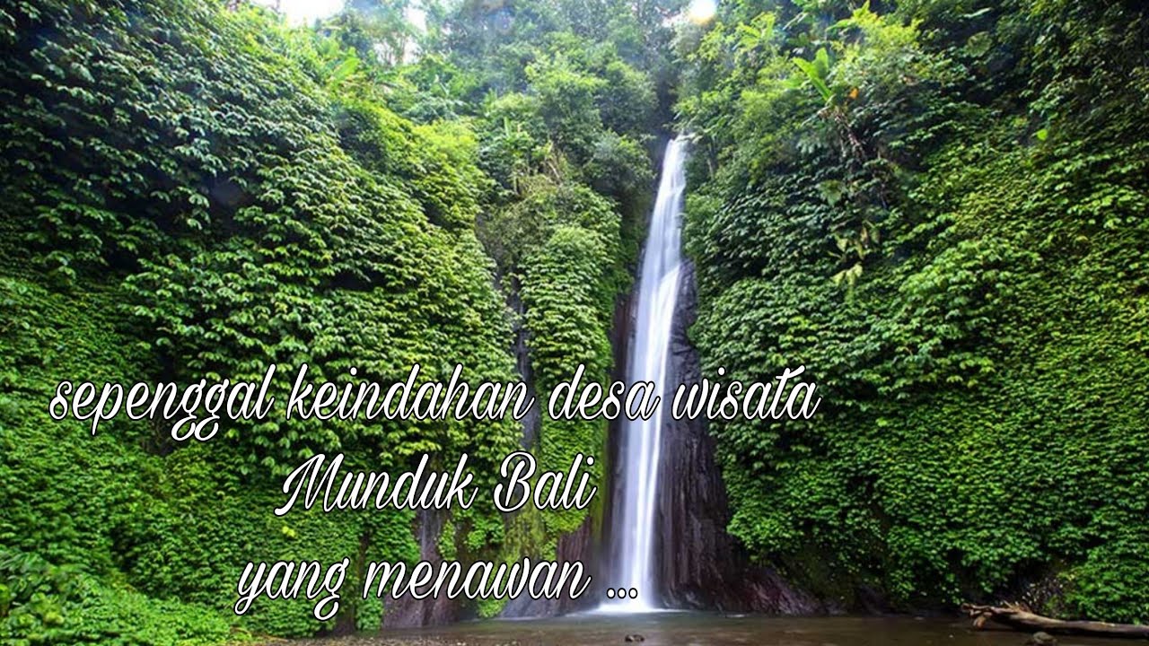 air terjun popular di Desa Munduk Bali - YouTube