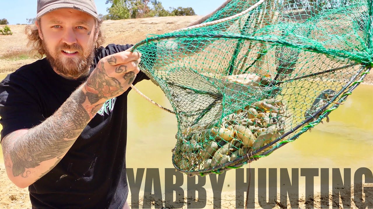 Yabby Hunting | Searching NEW Dams | (Freshwater Crayfish, Crawfish ...