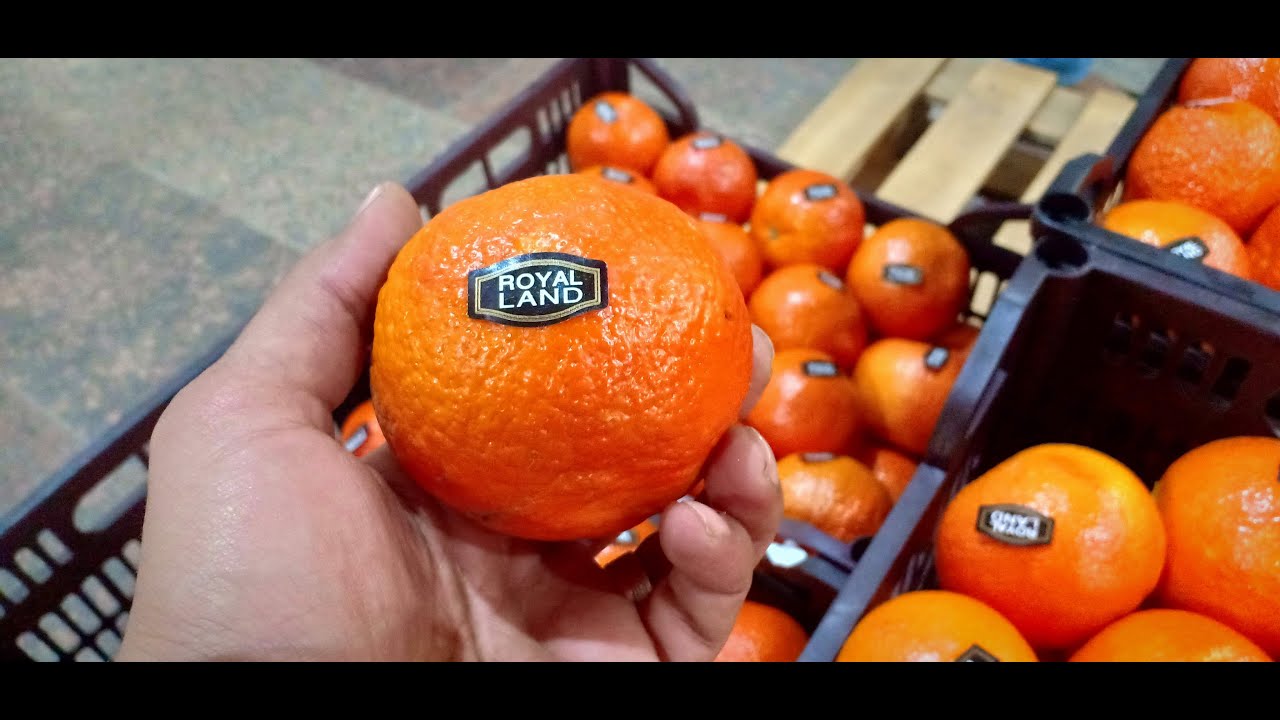 Honey Murcott Mandarins Farm By Royal Land - YouTube