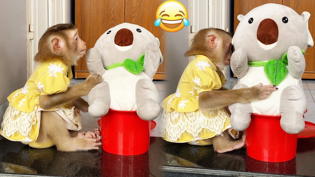 Monkey Lyly trains her teddy bear to poop in the potty - YouTube