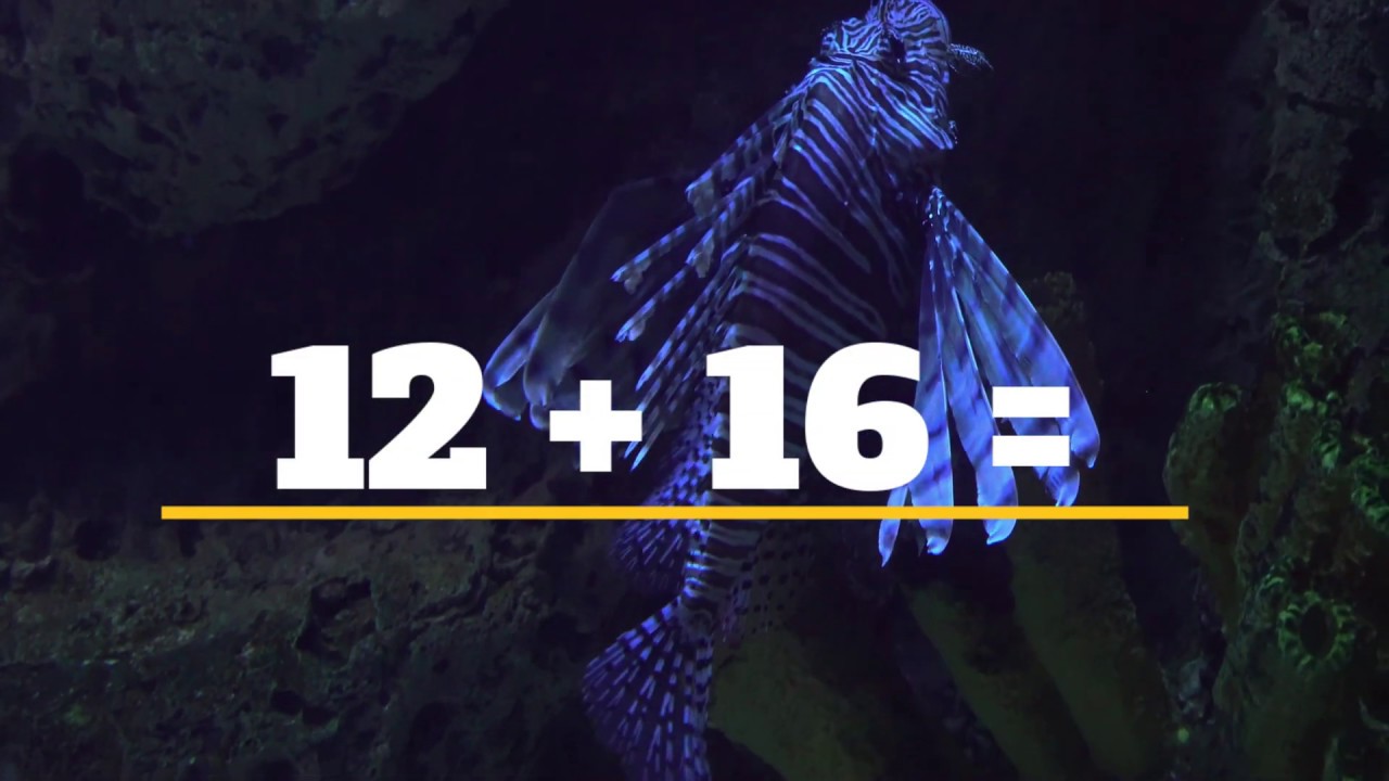 tigermath-double-digit-addition-4-numbers-under-40-youtube
