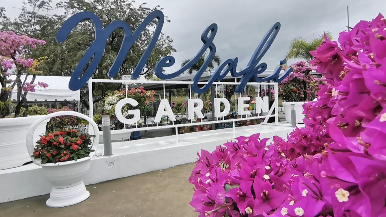 Meraki Garden Location: Reina Mercedes Isabela 💐🌻🌼🌺 (Hindi Kasama ang ...