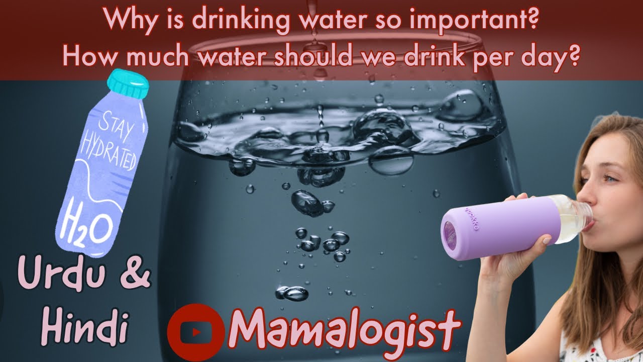 How much water should we drink? | Why water is important ? | 10 ...