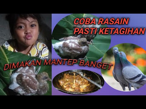 Masak burung merpati agar tidak amis gurih empuk enak /#MaMaMuda