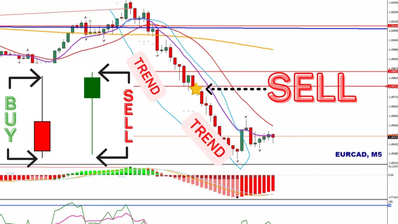 The Only Price Action Signal Video You Will Ever Need... (Full Trading ...
