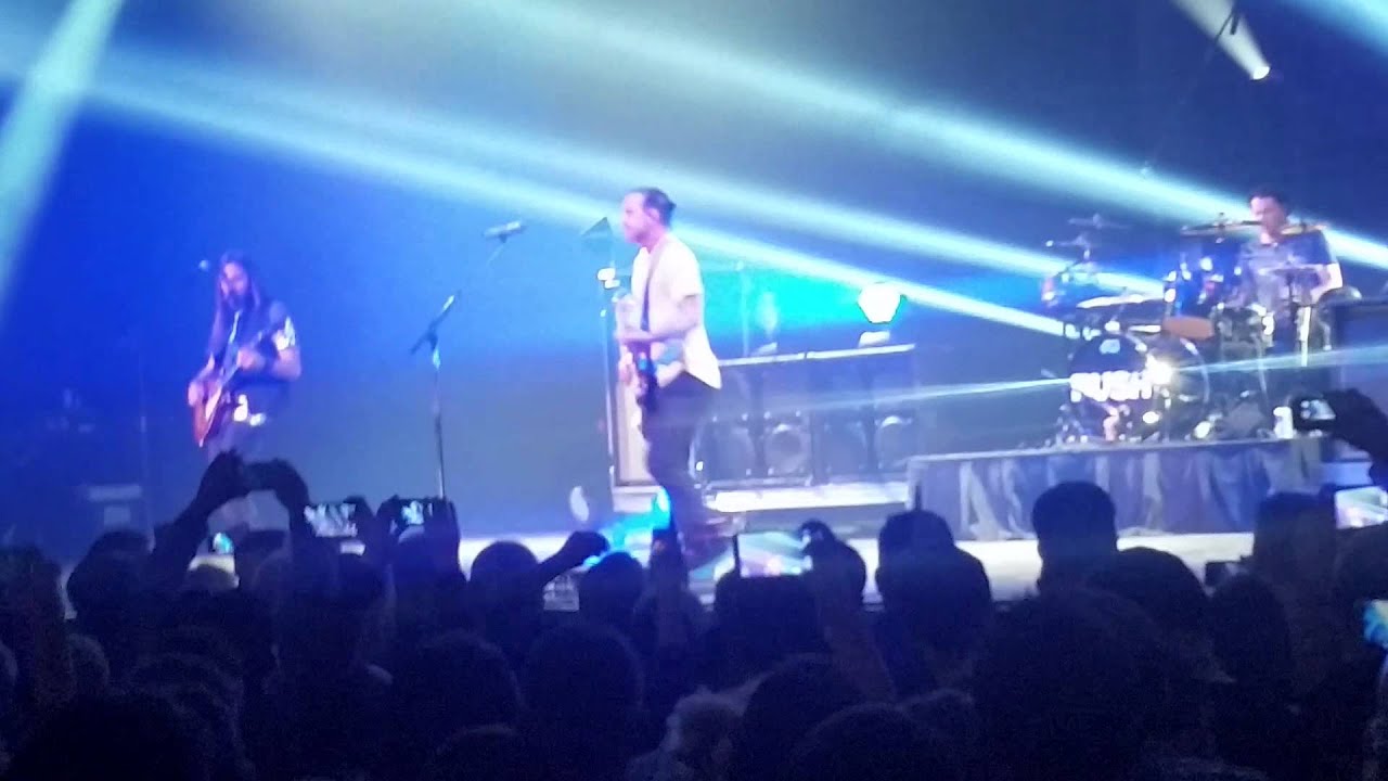 Bush - YouTube