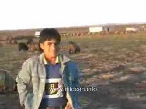 Wey dunyaye shingal zarok