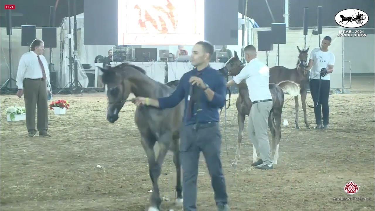 Spring Show 2021 - Class 2C - YouTube