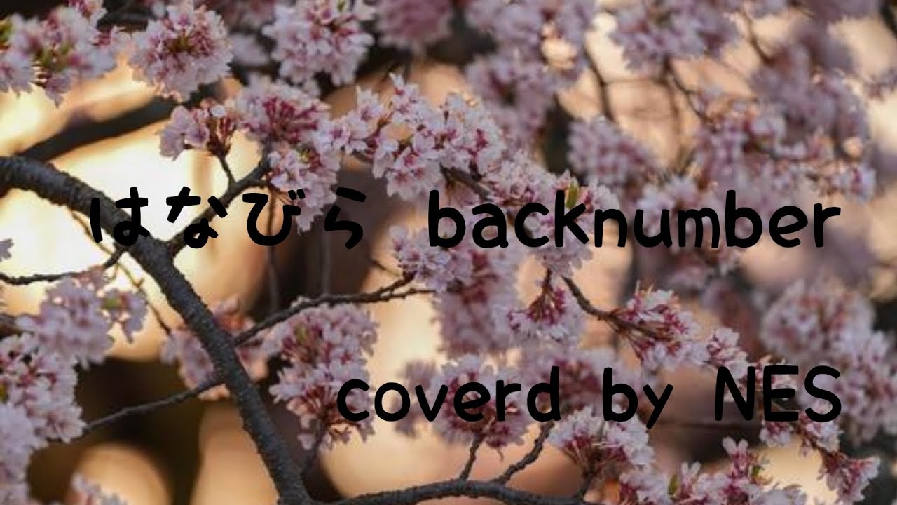 はなびら/backnumber/弾き語りしてみた - YouTube